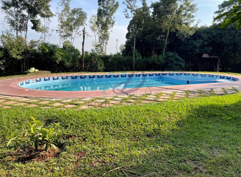 Tusubiira Village Jinja Skimmer Pool - Pool Doctors (U) Ltd